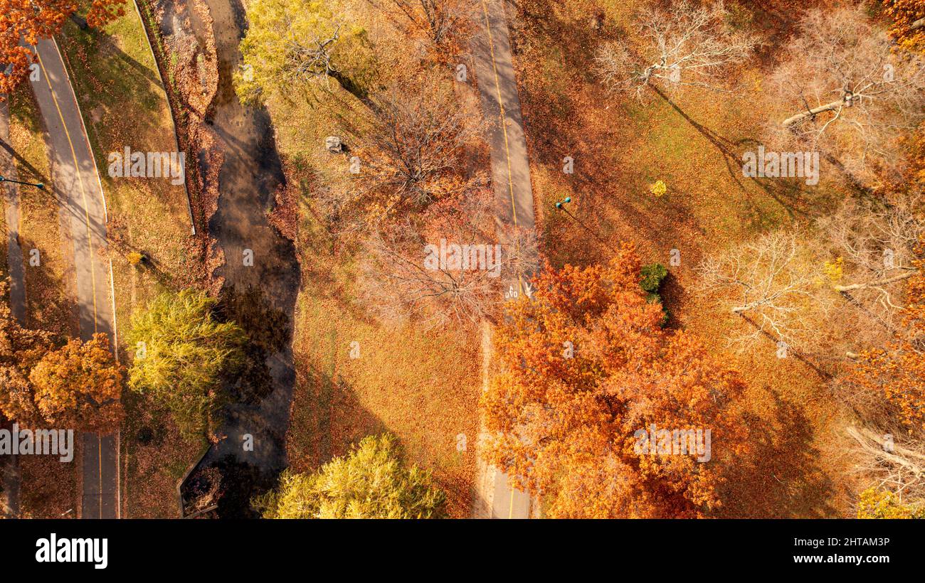 Aerial view above a park during the autumn season with beautiful fall foliage and a lake Stock ...