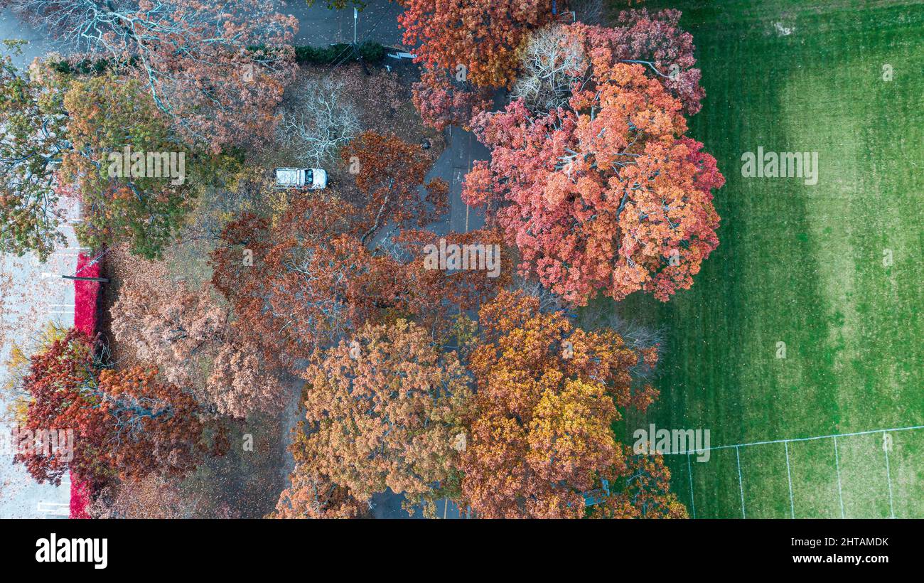 Aerial view above a park during the autumn season with beautiful fall ...
