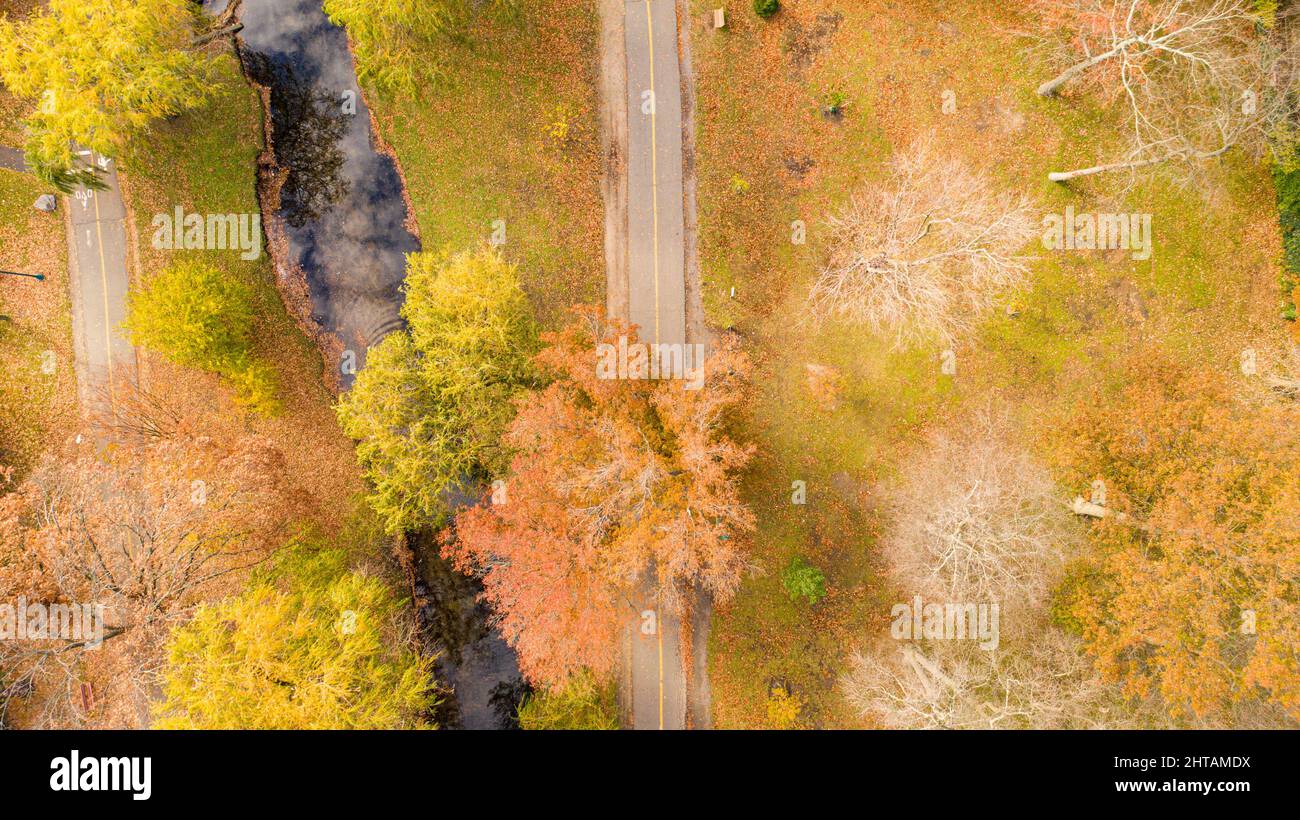 Aerial view above a park during the autumn season with beautiful fall ...