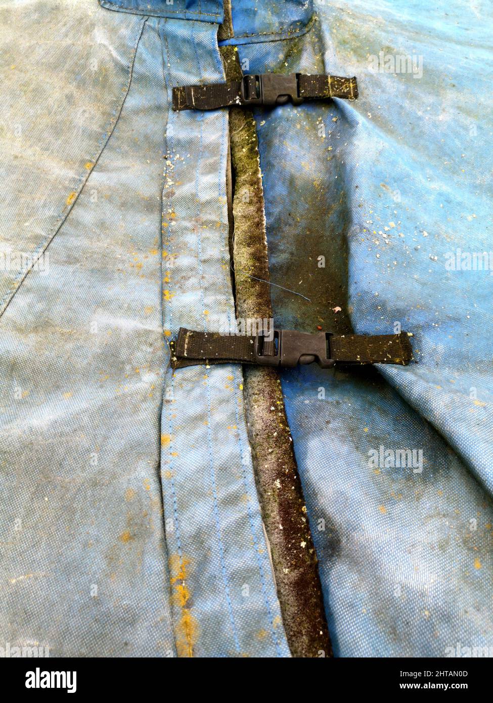 Ground cloth hi-res stock photography and images - Alamy