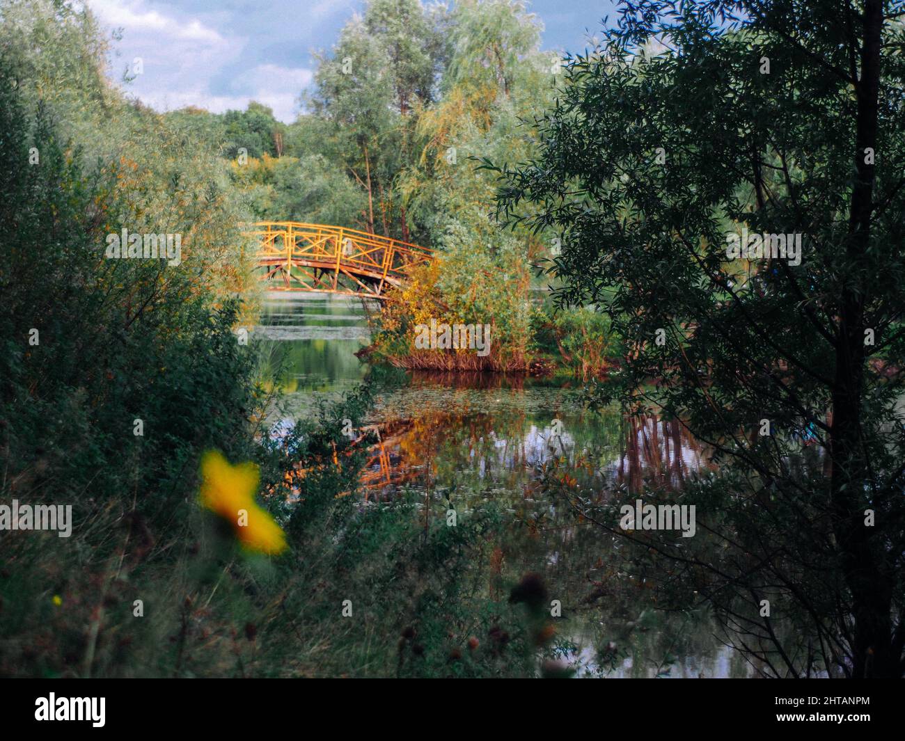 Small bridge over the river in a forest Stock Photo - Alamy