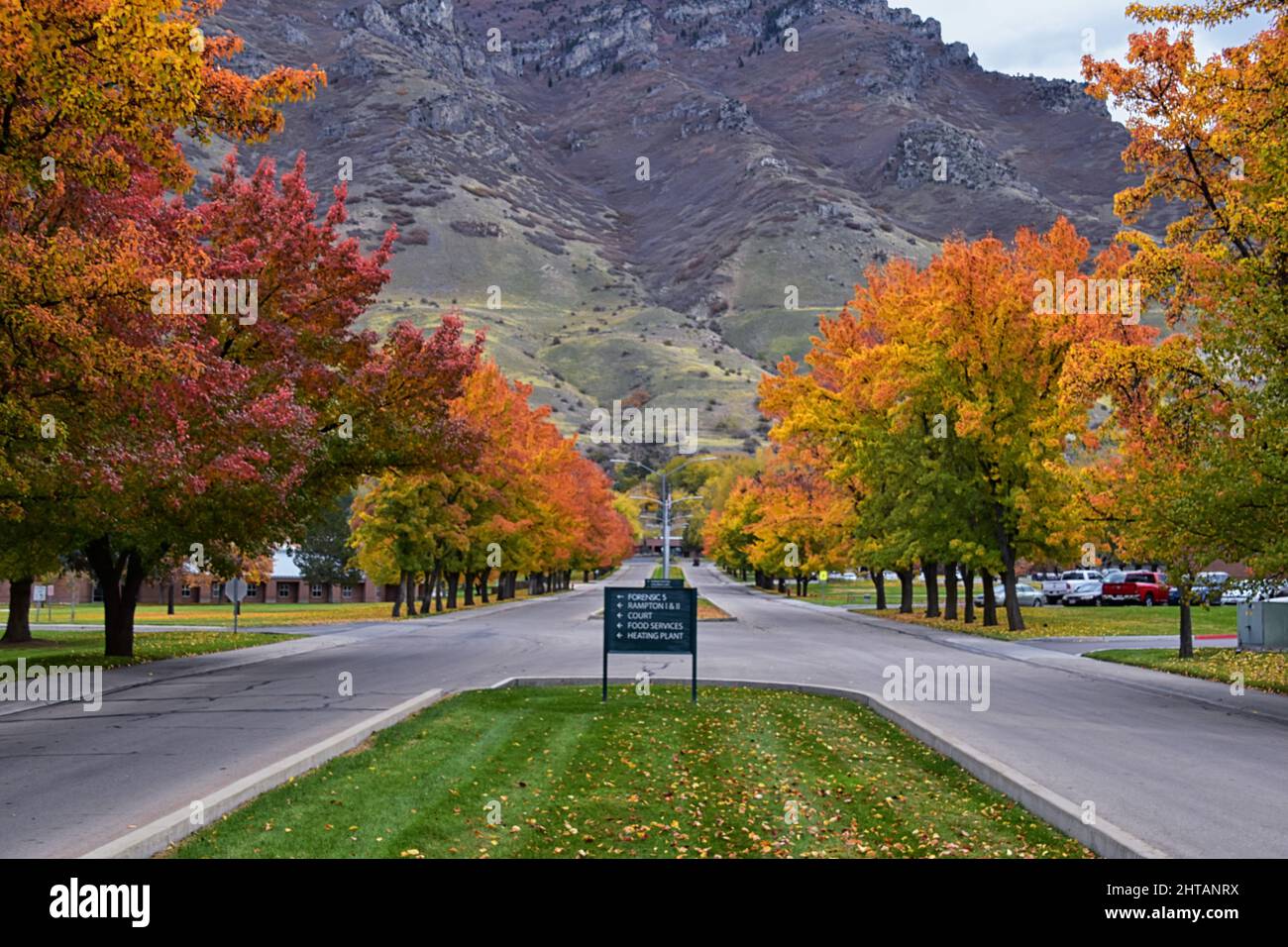 Fall landscape, bright orange red yellow leaves on trees lining road ...