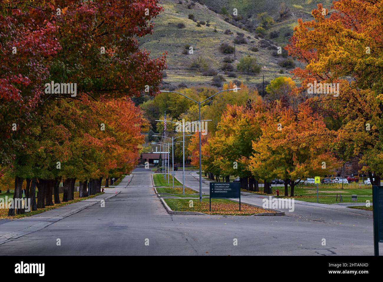 Fall landscape, bright orange red yellow leaves on trees lining road ...