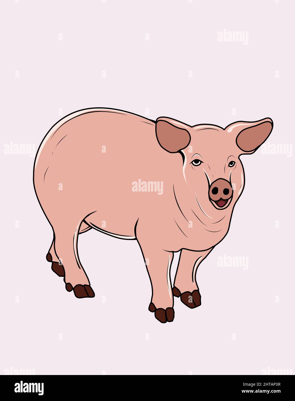 illustration vector adult pig on white background Stock Vector Image ...