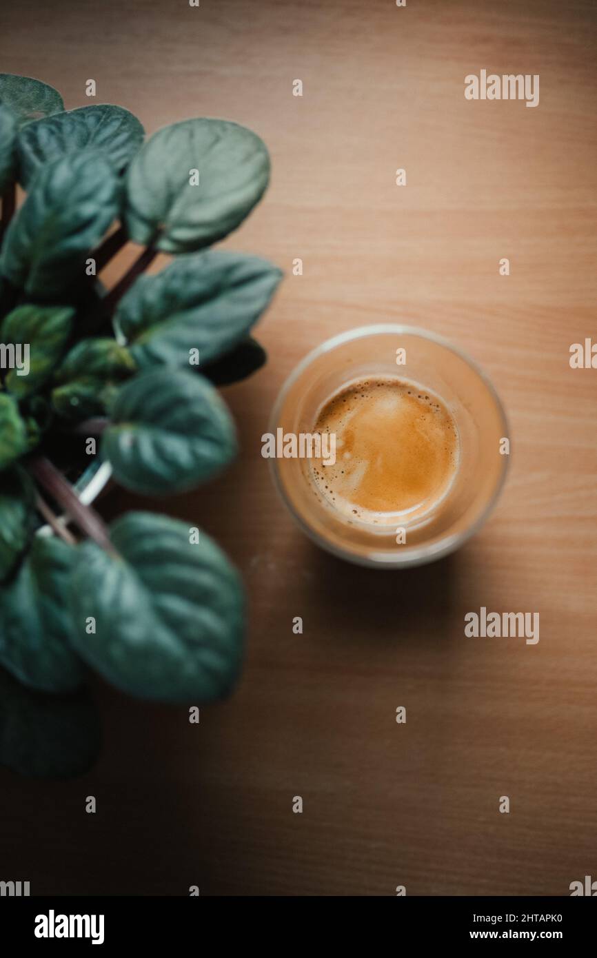 Vertical top view of a glass of coffee and a potted plant Stock Photo ...