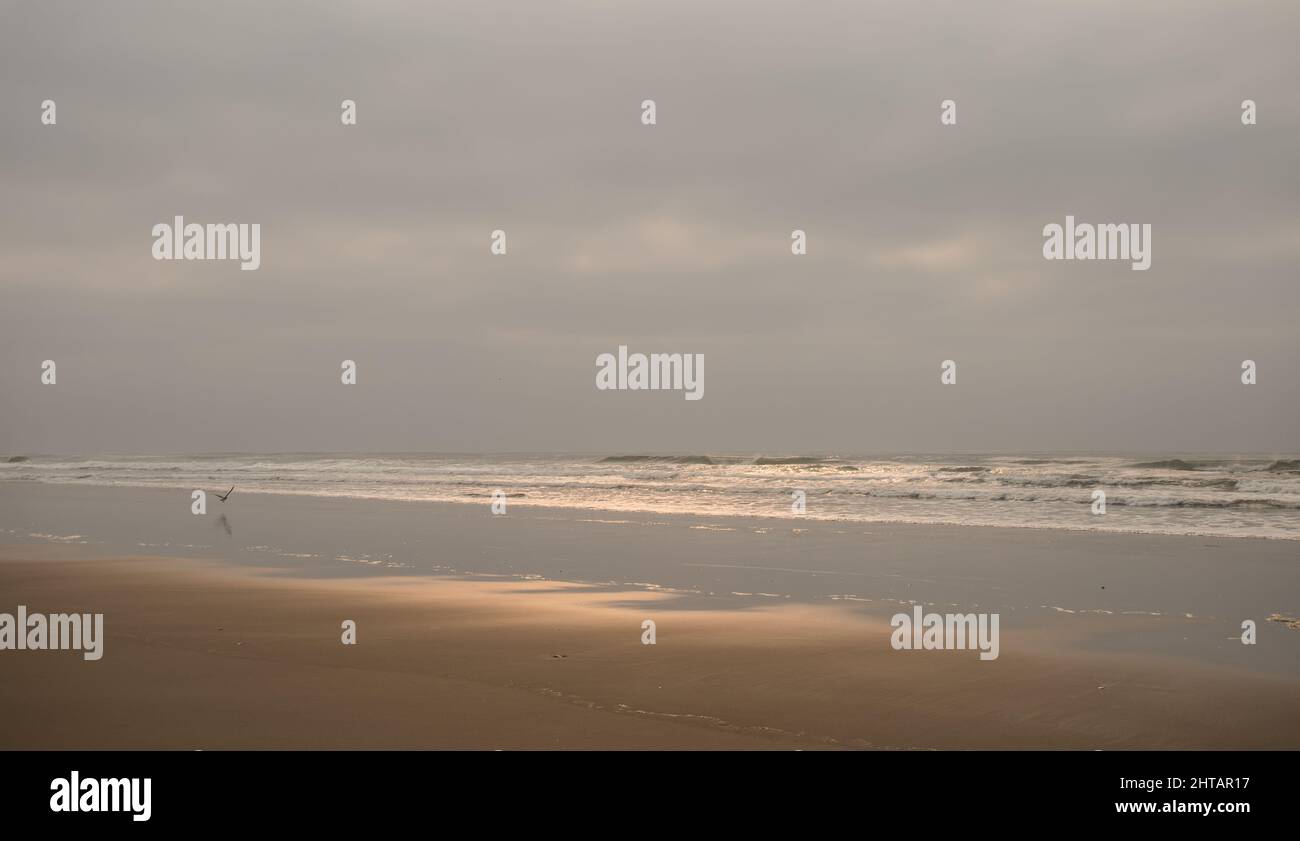 Horsfall Beach, Oregon Stock Photo - Alamy