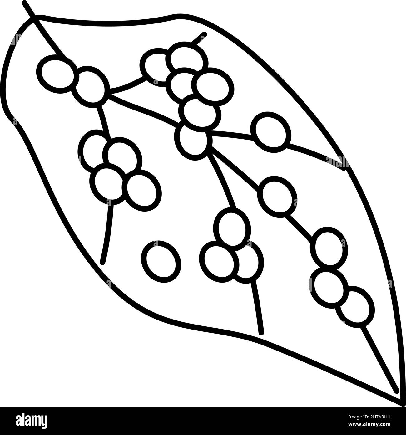 adult silkworm moths line icon vector illustration Stock Vector Image ...