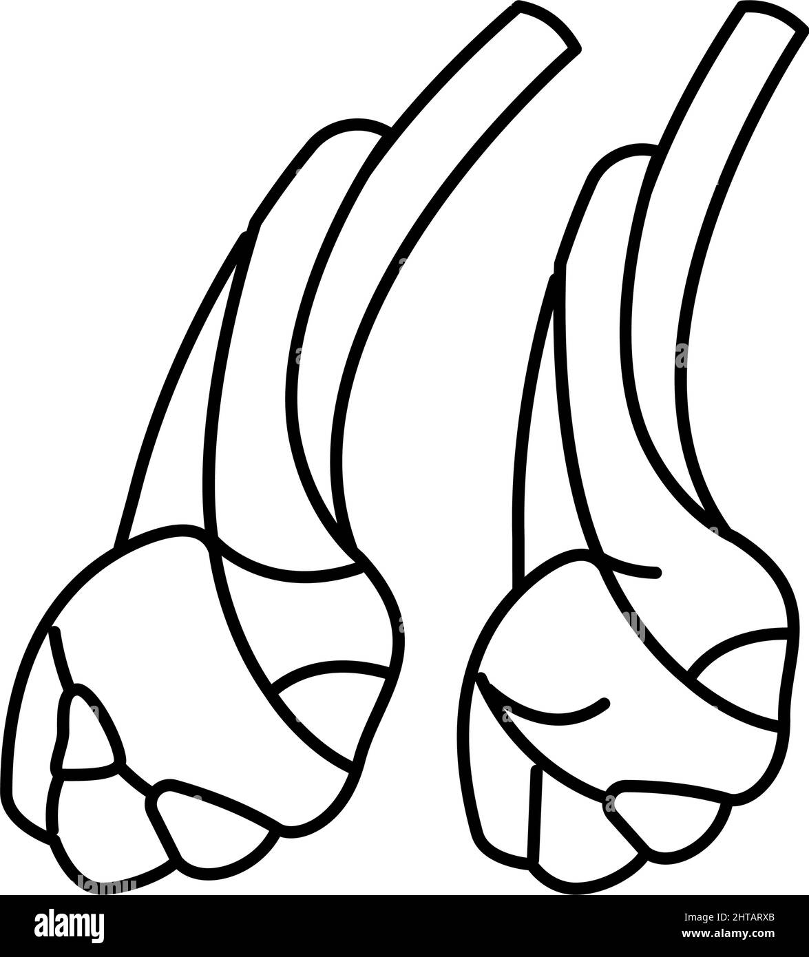 mutton meat line icon vector illustration Stock Vector Image & Art - Alamy