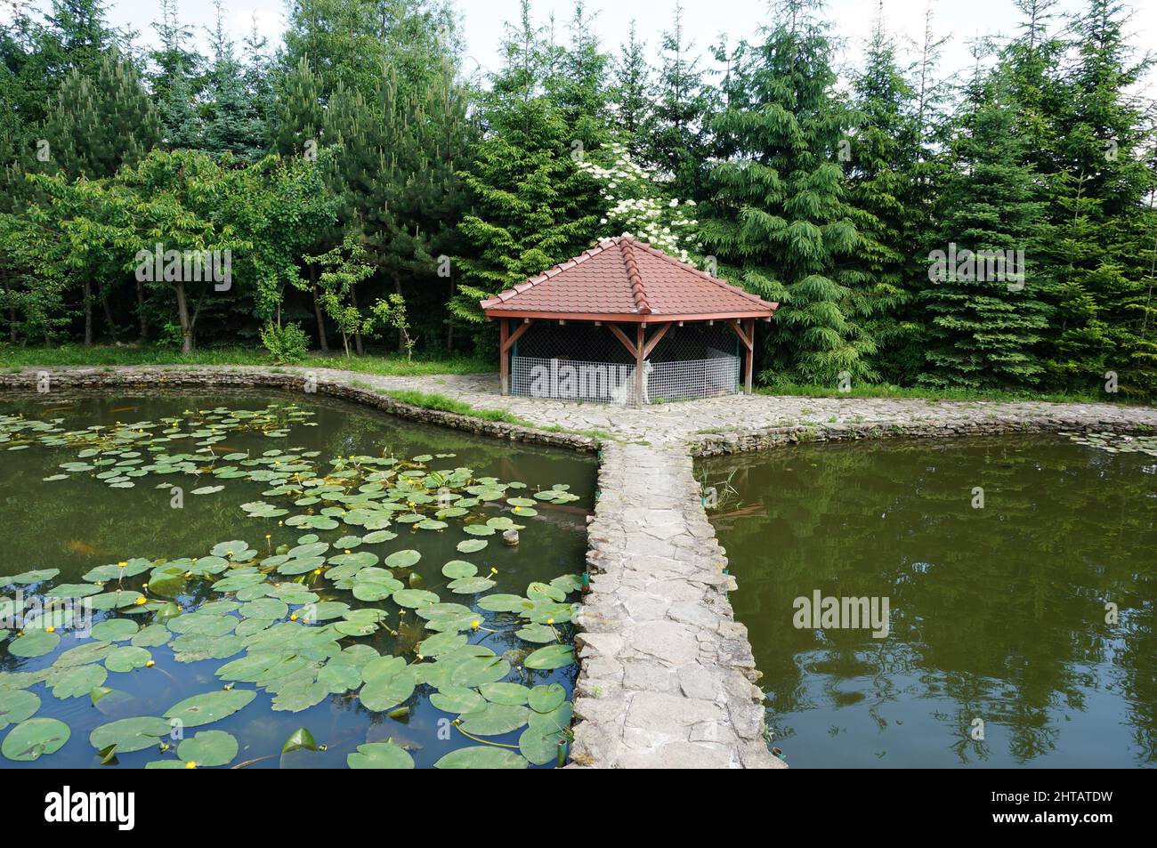 Beautiful park landscape with a pond Stock Photo - Alamy