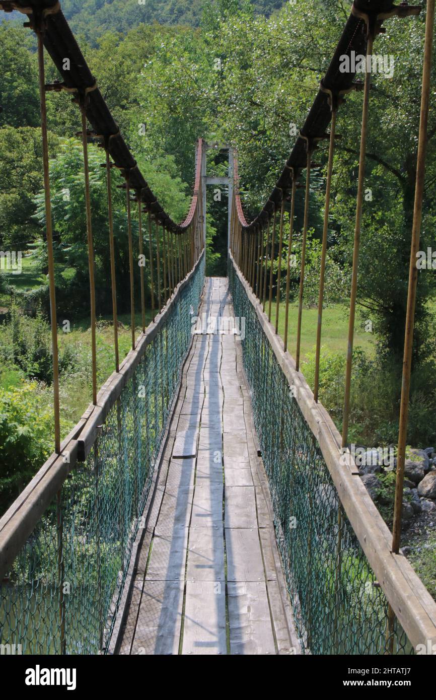 Vertical shot of a hanging wooden bridge heading to the green forest ...