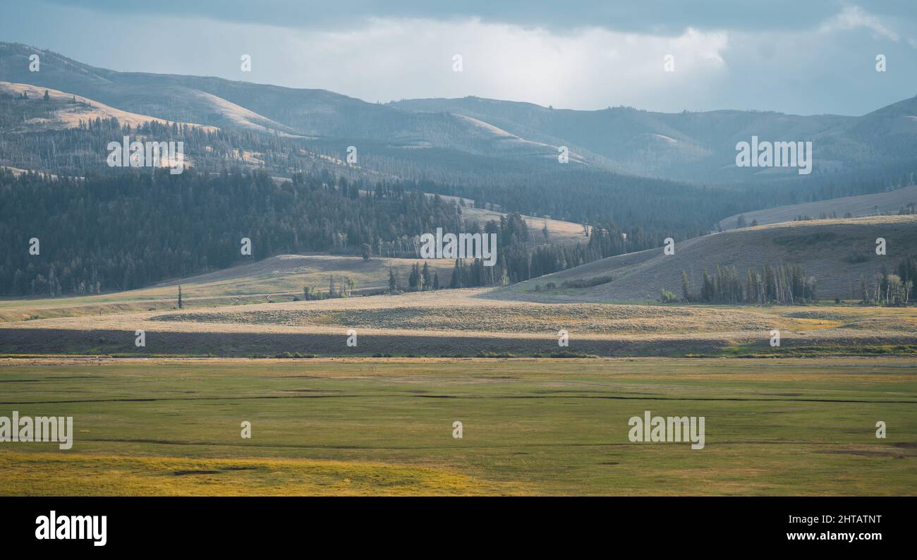 Beautiful meadow yellowstone river hi-res stock photography and images ...