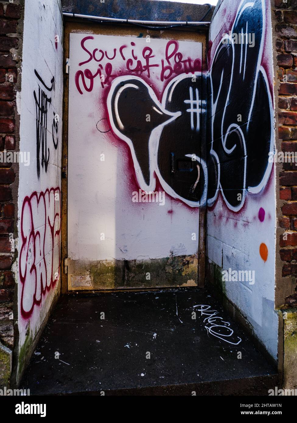 Vertical of graffiti on street walls in Lille, France Stock Photo - Alamy