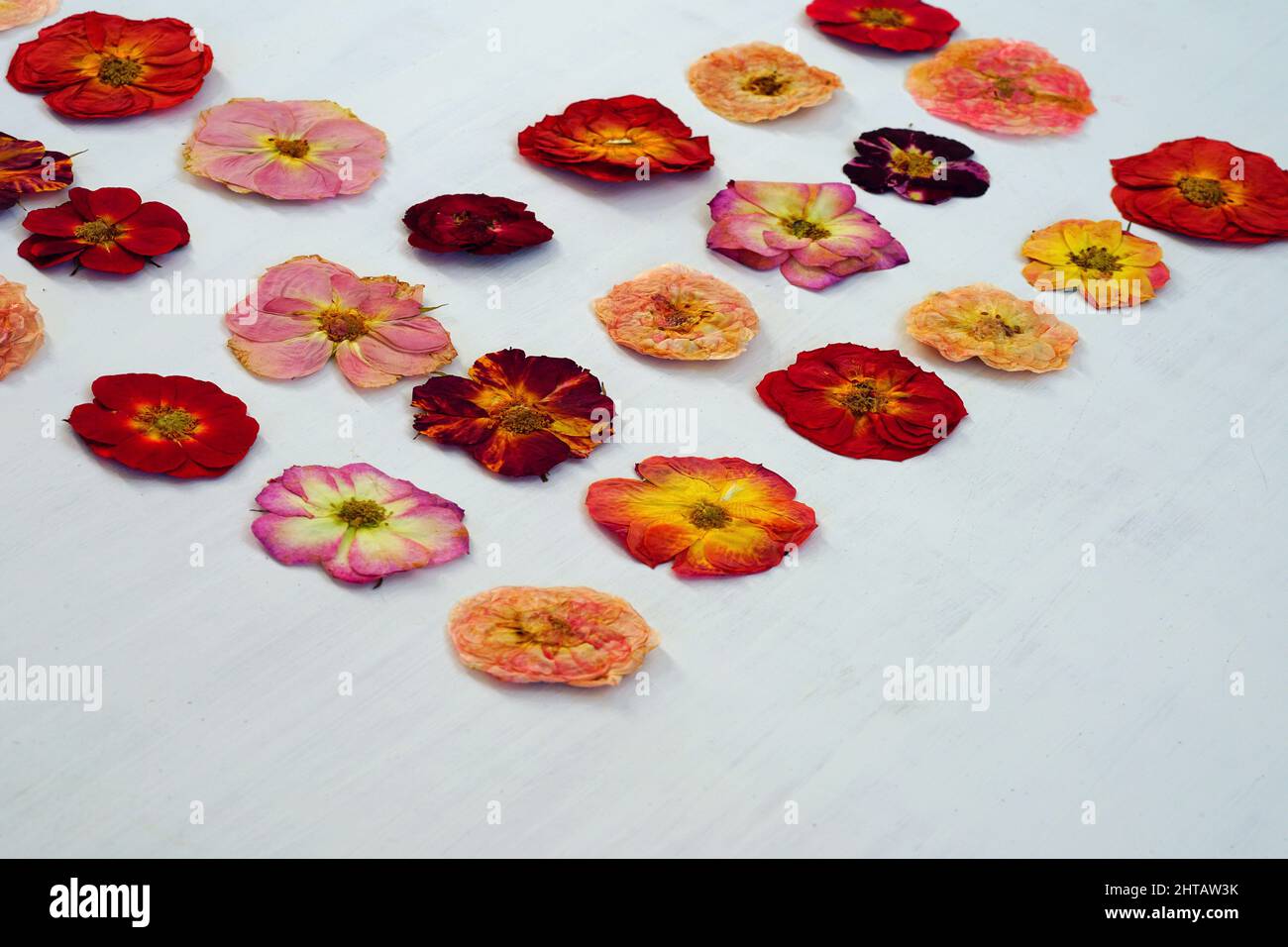 Dried rose flowers hi-res stock photography and images - Alamy