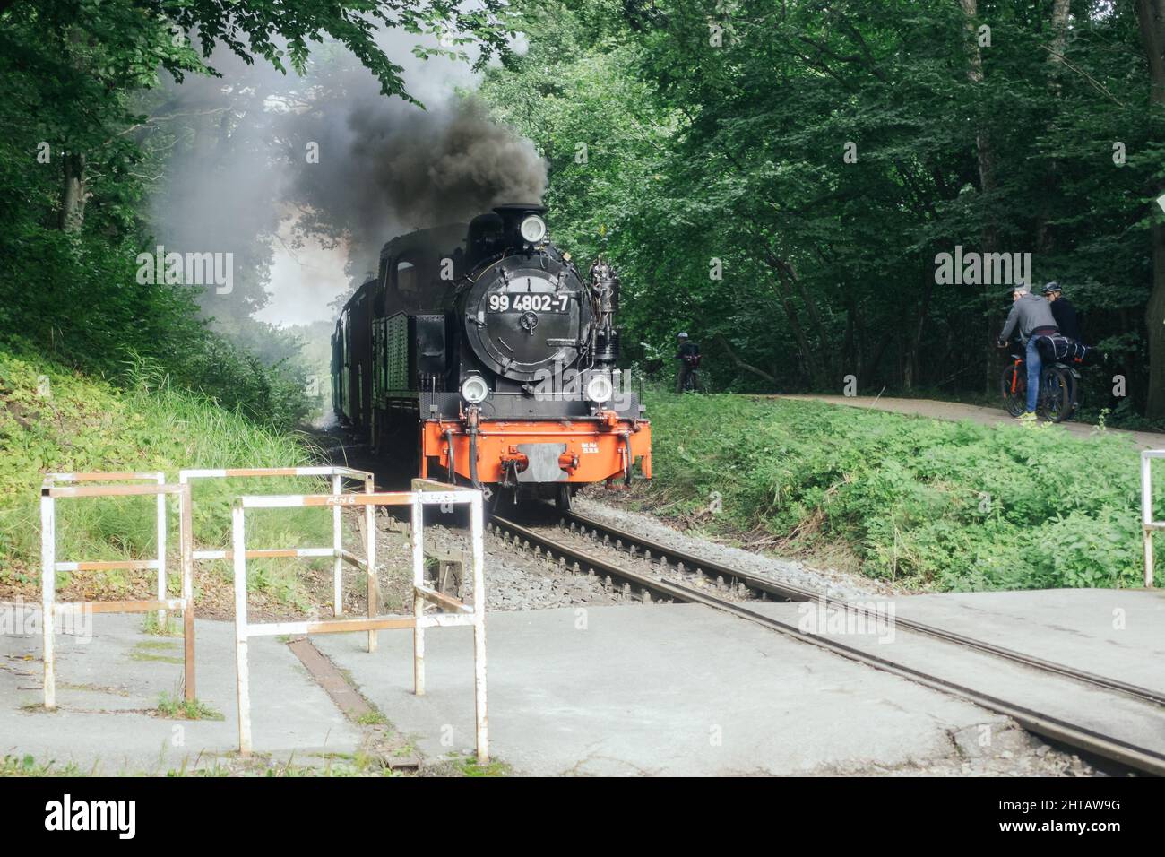 Steam locomotive passing through trees Stock Photo - Alamy