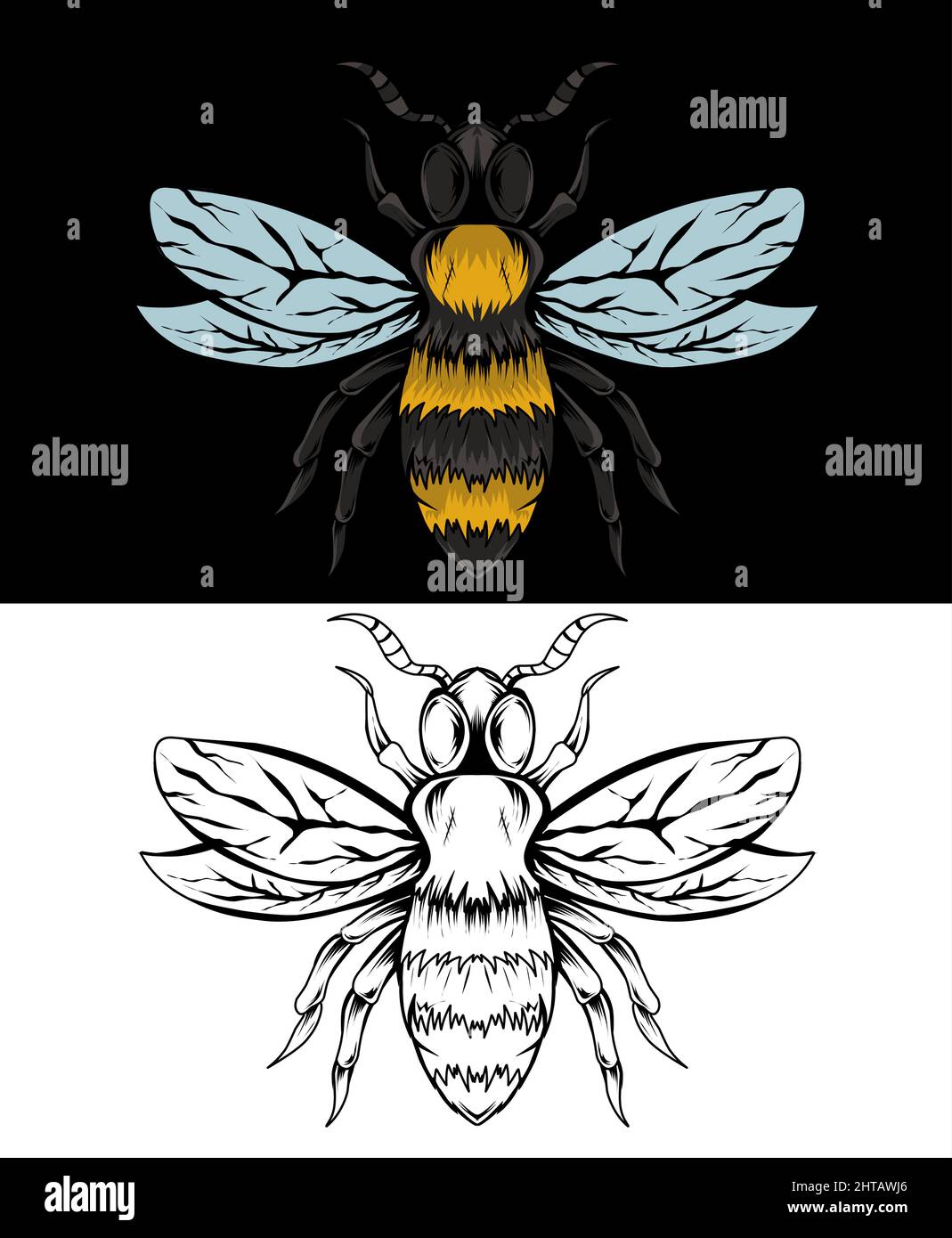 Illustration vector bee insect with color and black and white Stock ...