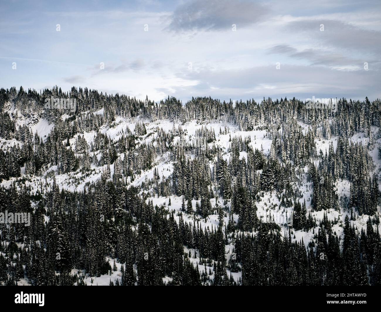 Aerial view of a snowy landscape in a forest Stock Photo - Alamy