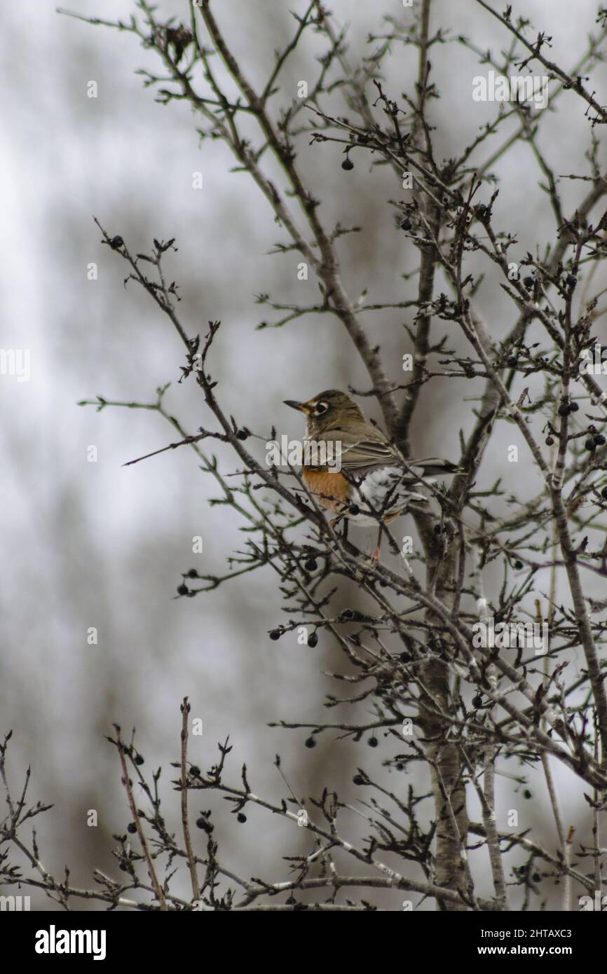 Scugog river hi-res stock photography and images - Alamy