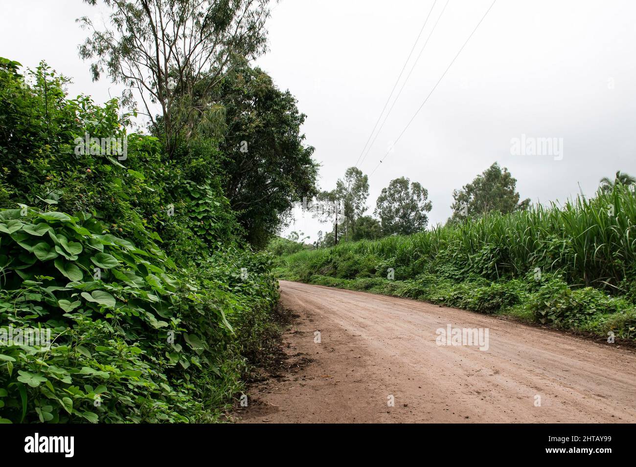 Natural view of a dirt road leading to Kolhapur city, Maharashtra ...