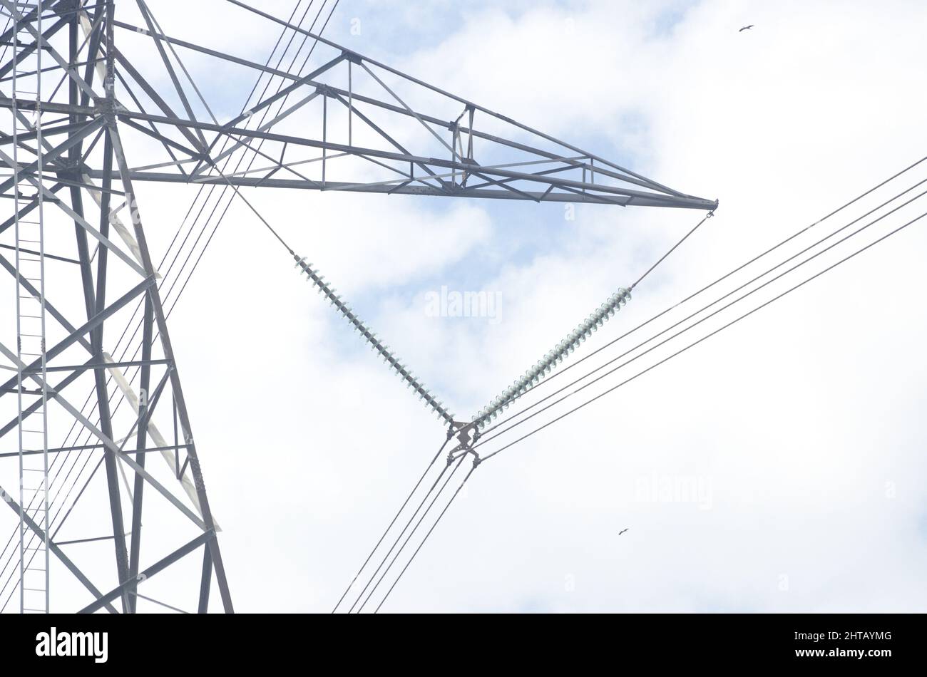 Closeup photo of a power line Stock Photo - Alamy