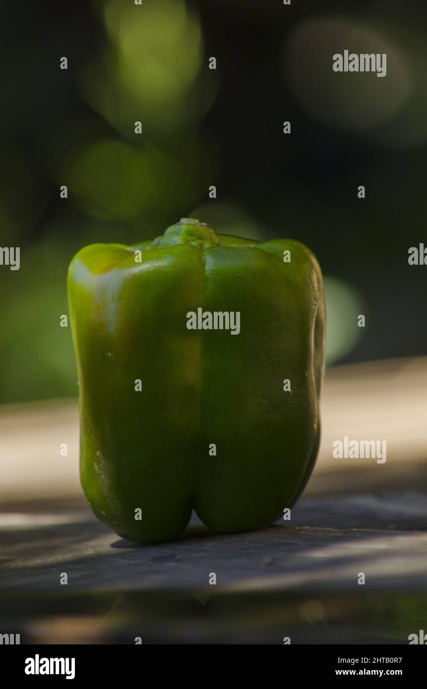 Green pepper on the wooden floor in vertical Stock Photo - Alamy