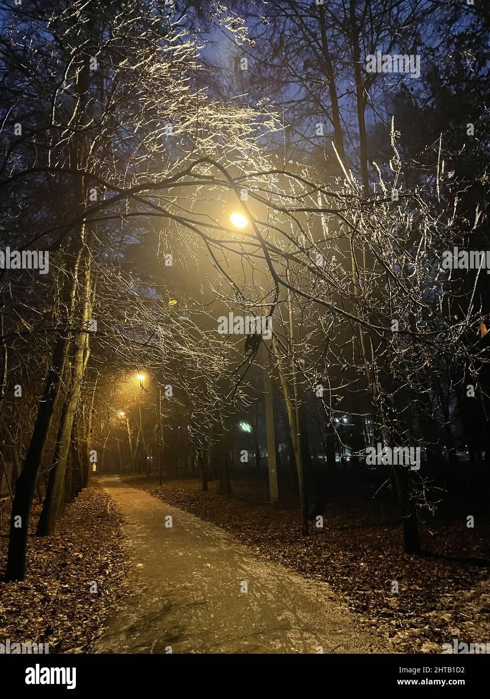 Beautiful vertical view of park path road with trees and light lamps at ...