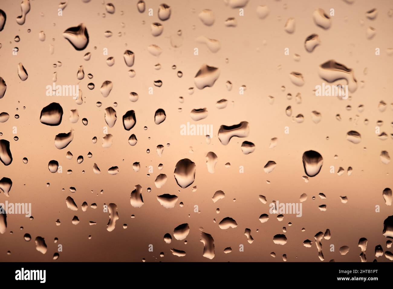 Shiny surface with water droplets - water background and texture Stock ...