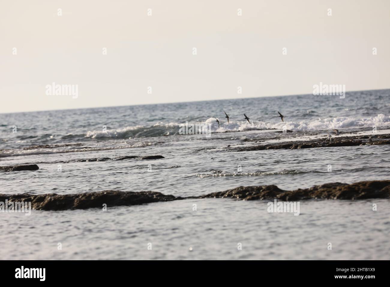 low waves on the shore of a beach High quality Stock Photo - Alamy