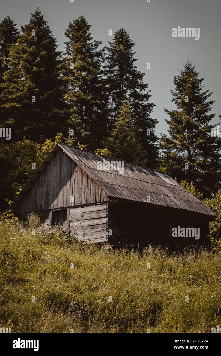 Abandoned old wooden house in the forest Stock Photo - Alamy