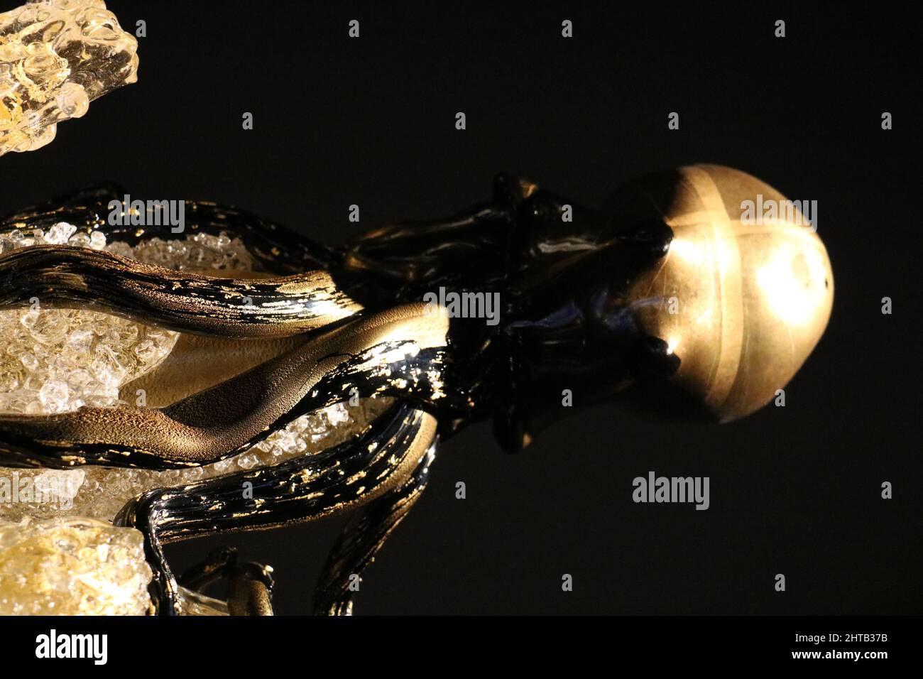 Octopus museum hi-res stock photography and images - Alamy