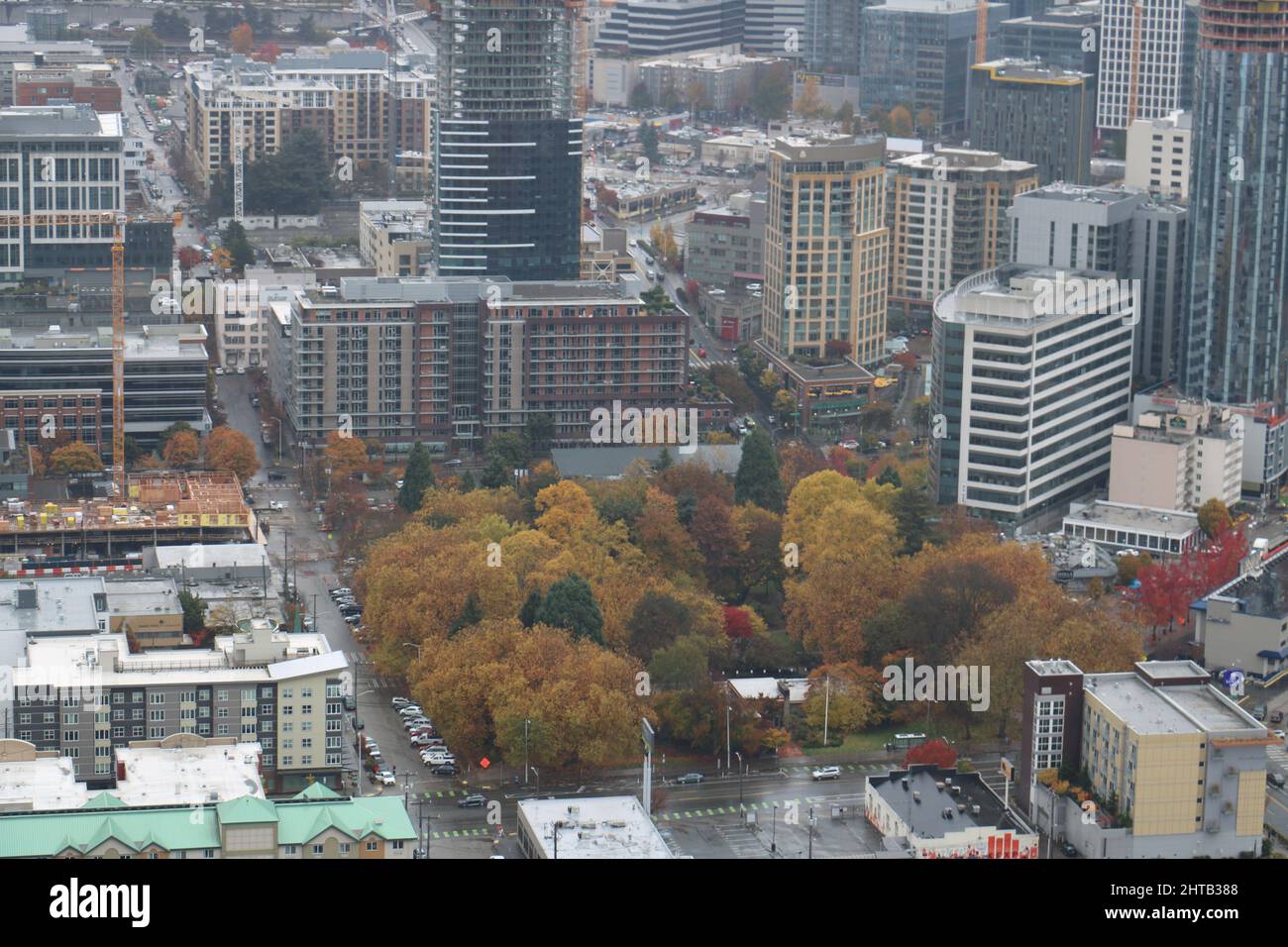 Cityscape with autumn trees of Seattle the city, USA Stock Photo - Alamy
