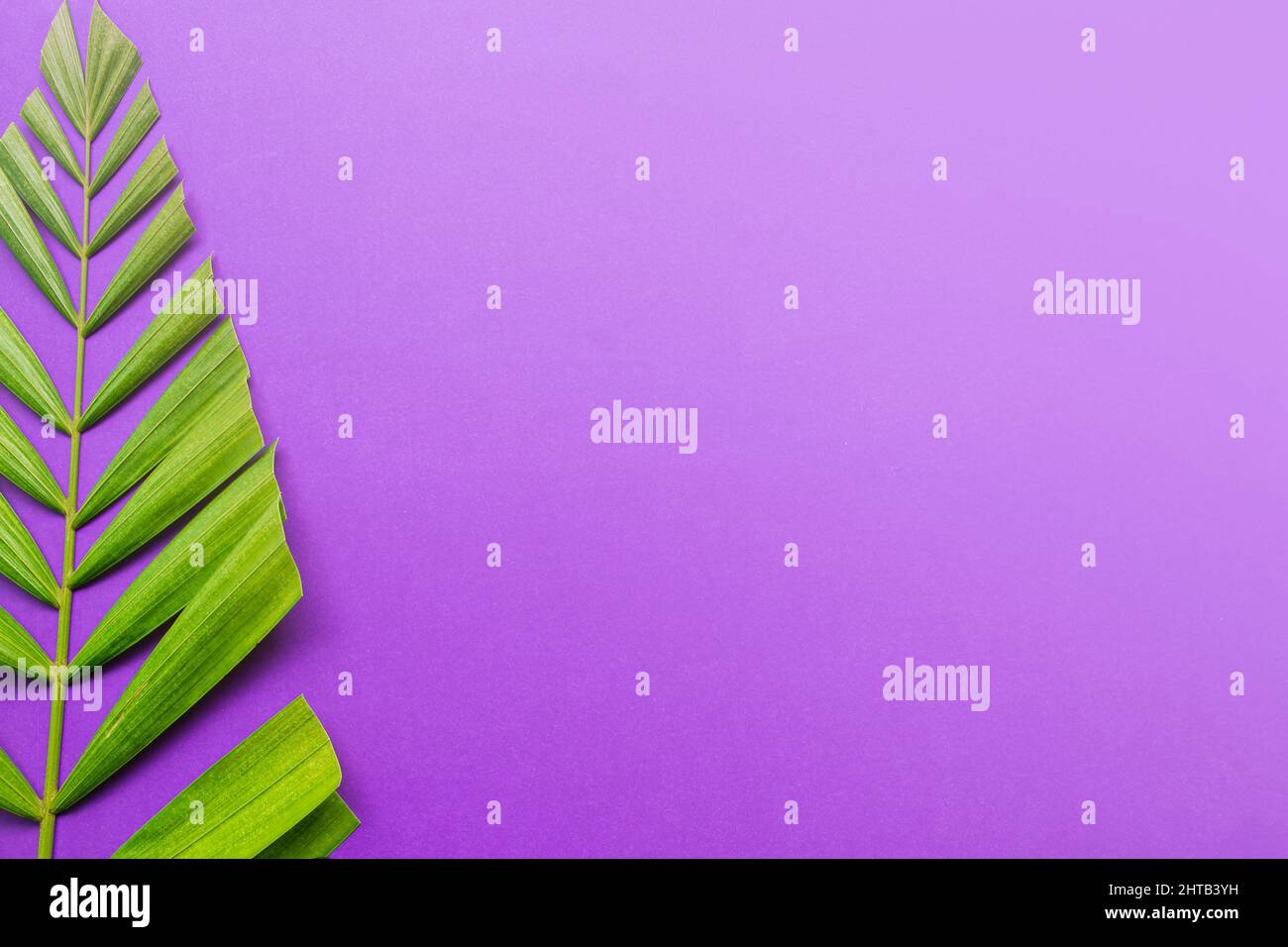 Good Friday, Palm Sunday, Ash Wednesday, Lent Season and Holy Week ...