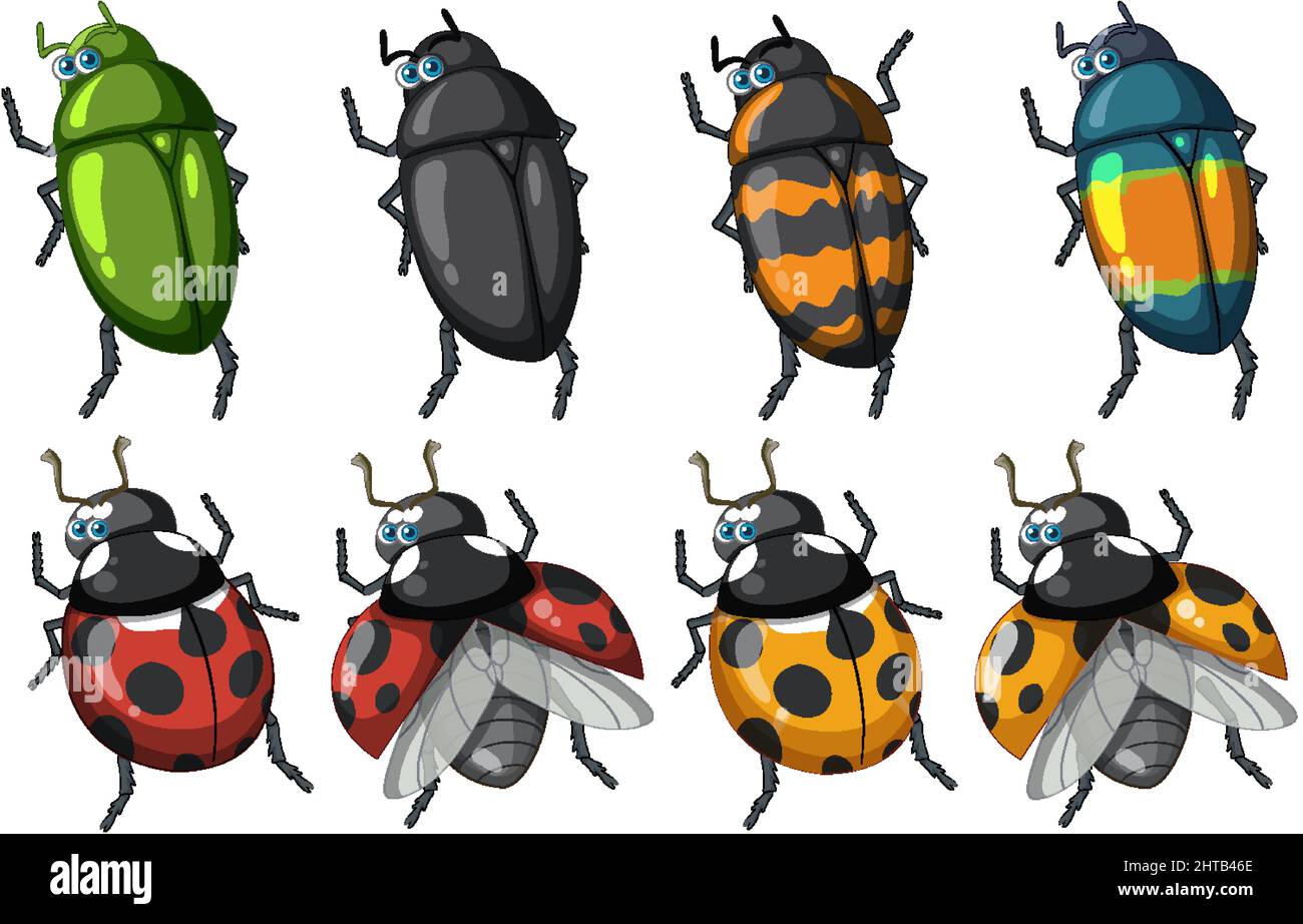 Set of different insects and beetles in cartoon style illustration ...