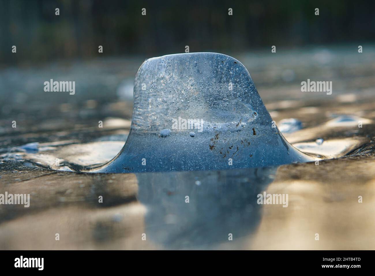 Closeup of a piece of ice on a wet ground Stock Photo - Alamy