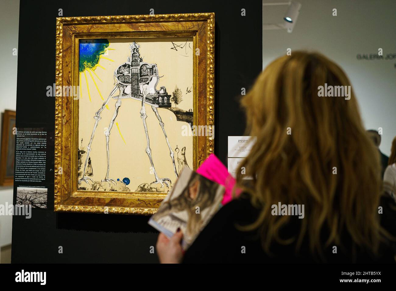 A visitor observes a painting of Salvador Dali exhibited at SAM Modern ...