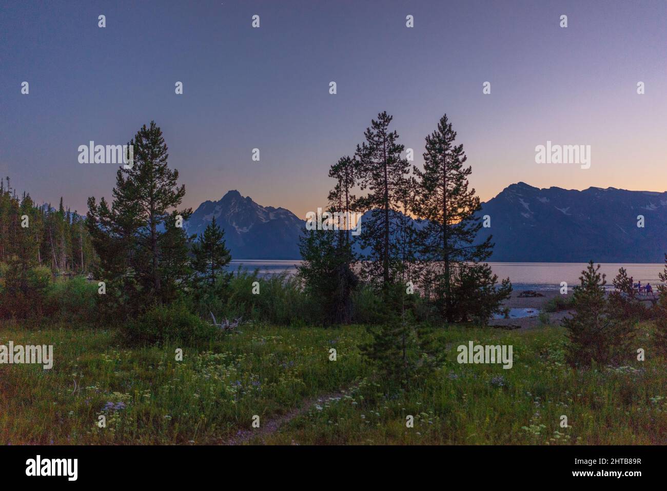 Amazing view of the Grand Teton national park Stock Photo - Alamy