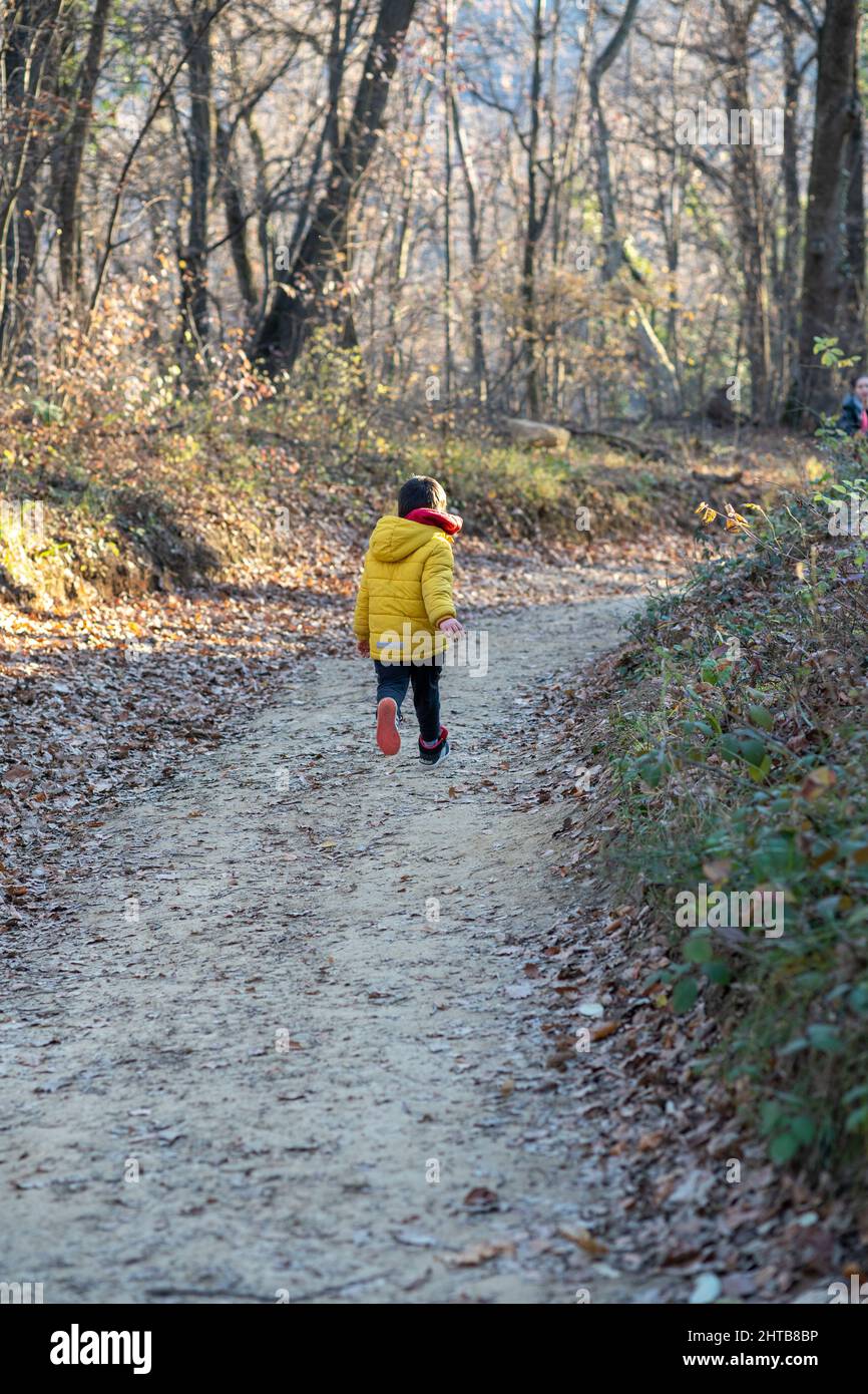 Vertical back view of a baby walking along the path in the park on the ...