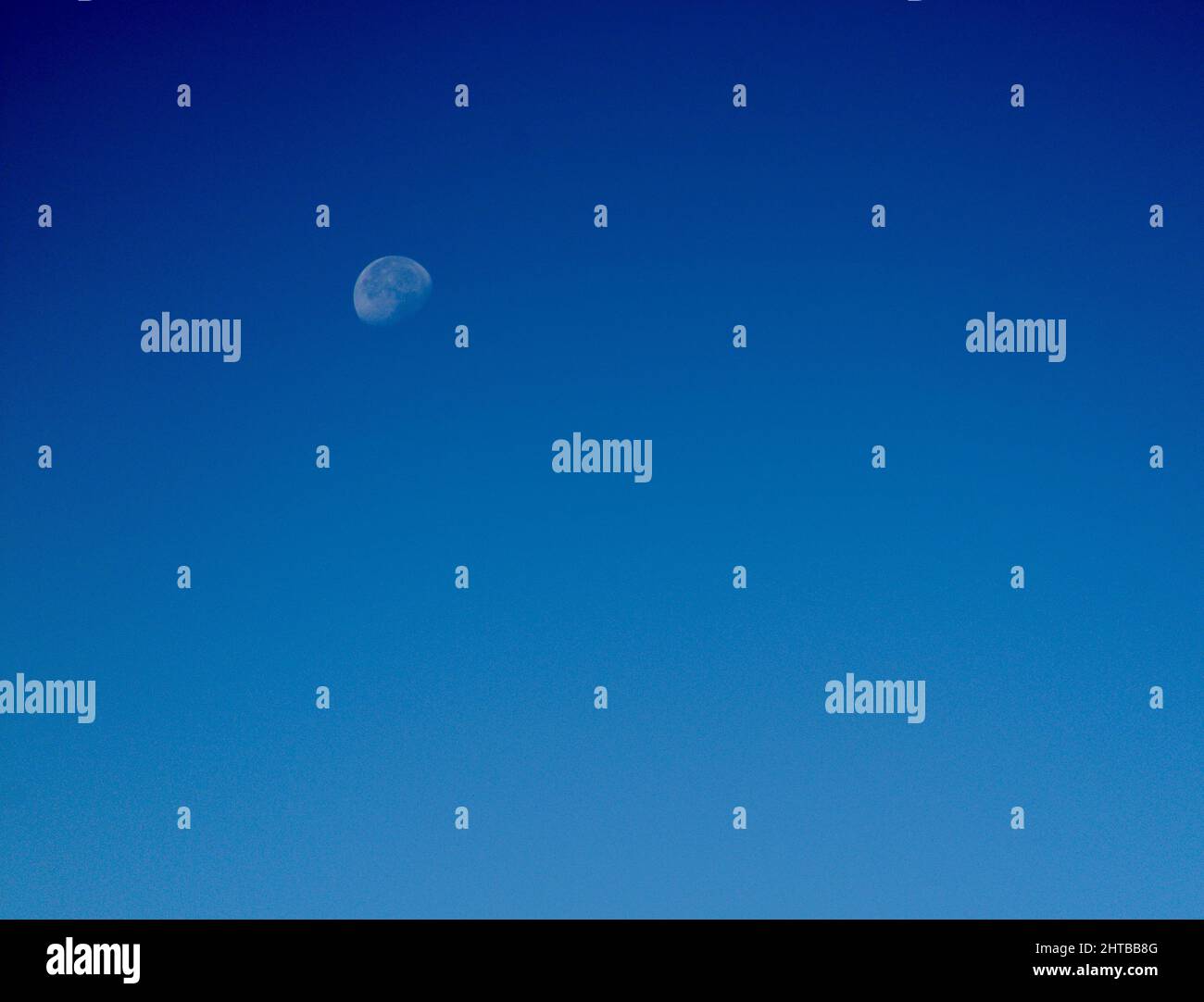 Full moon visible during daylight in the blue cloudless sky with copy ...