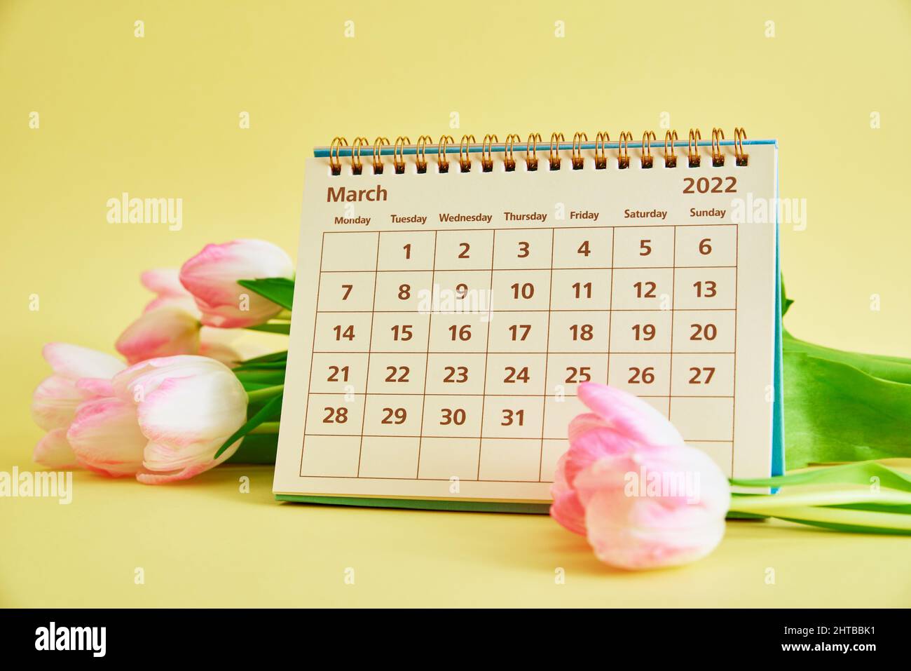 March calendar and tulip flower on yellow background, Hello spring ...