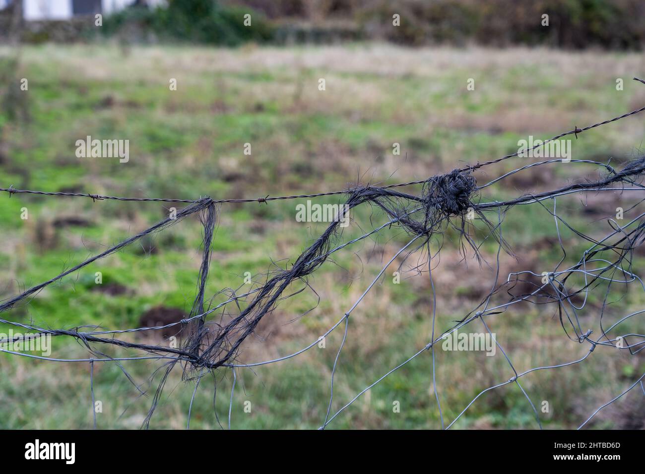 Shot of a complicated rope around an old wire in a farm Stock Photo - Alamy