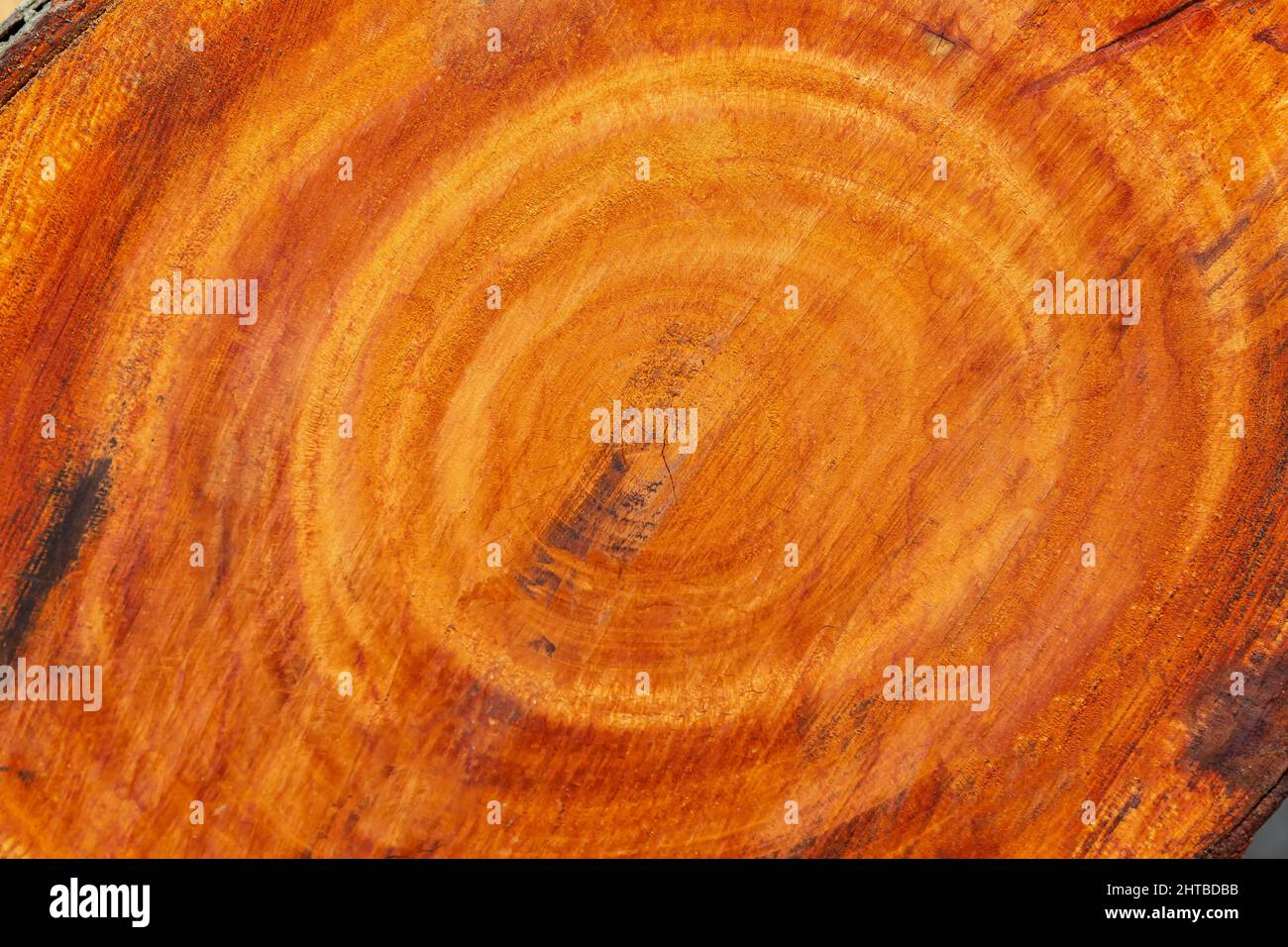 Large irregular tree cut in a circular circle pattern on wood texture ...