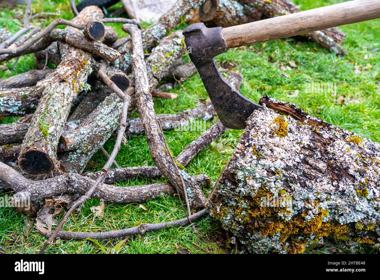 Closeup shot of an axe for cutting the trees in a farm Stock Photo - Alamy