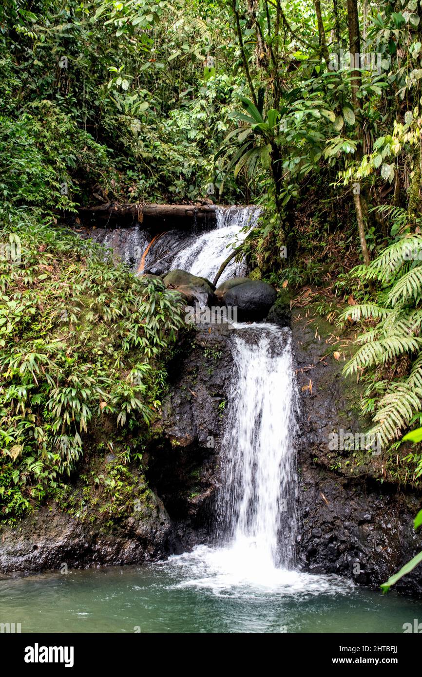 Vertical closeup view of the Cascadas Verdes waterfall in the forest in ...