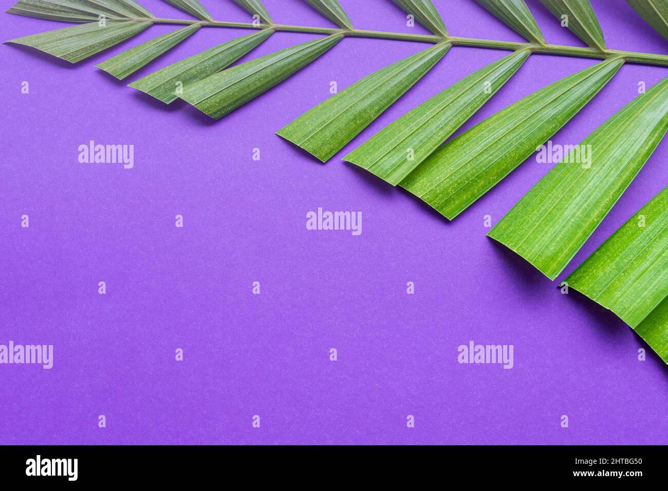 Good Friday, Palm Sunday, Ash Wednesday, Lent Season and Holy Week ...