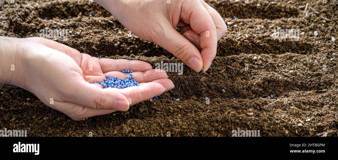 Planting seed hi-res stock photography and images - Alamy