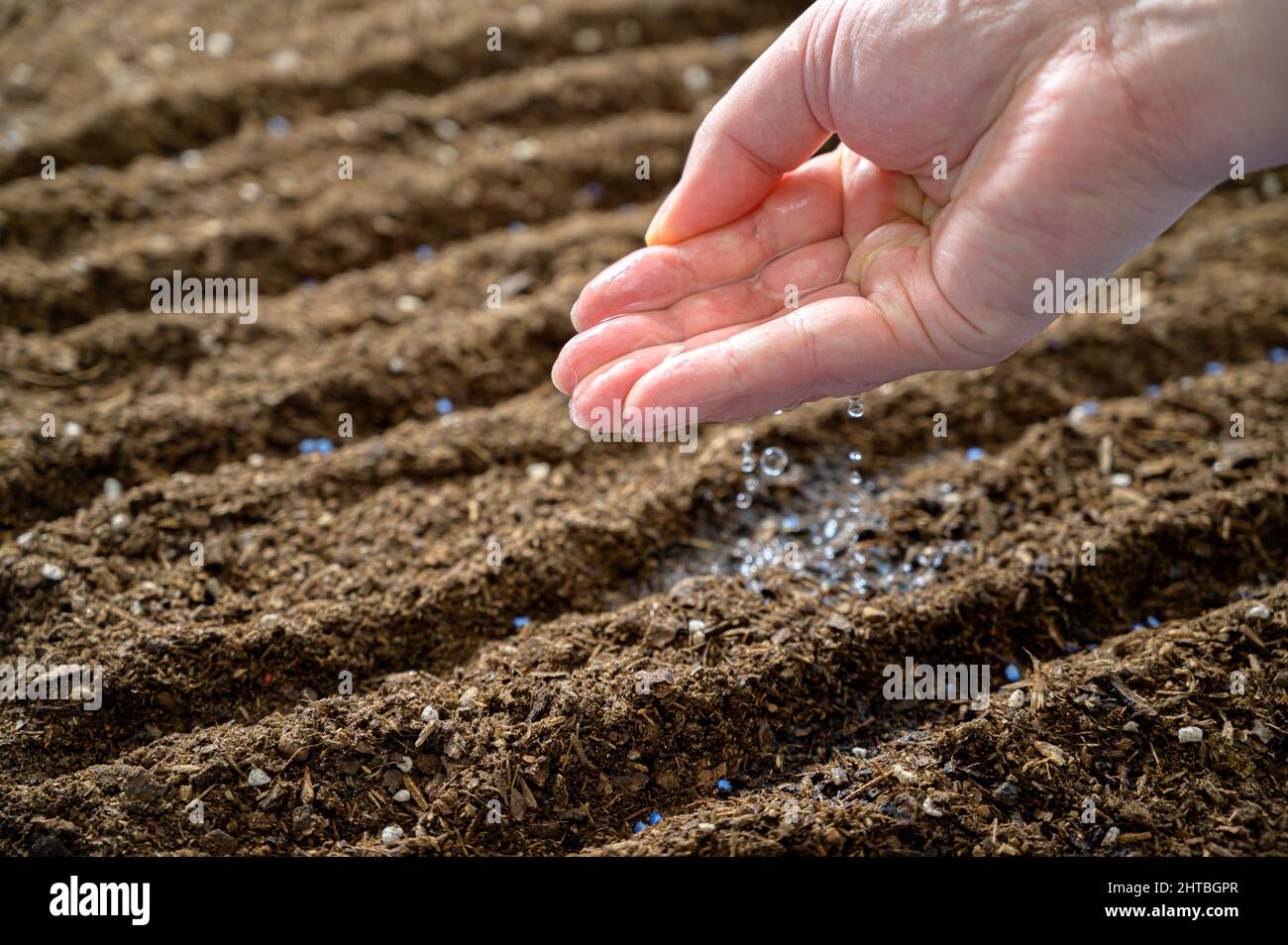 Seeding soil hi-res stock photography and images - Alamy