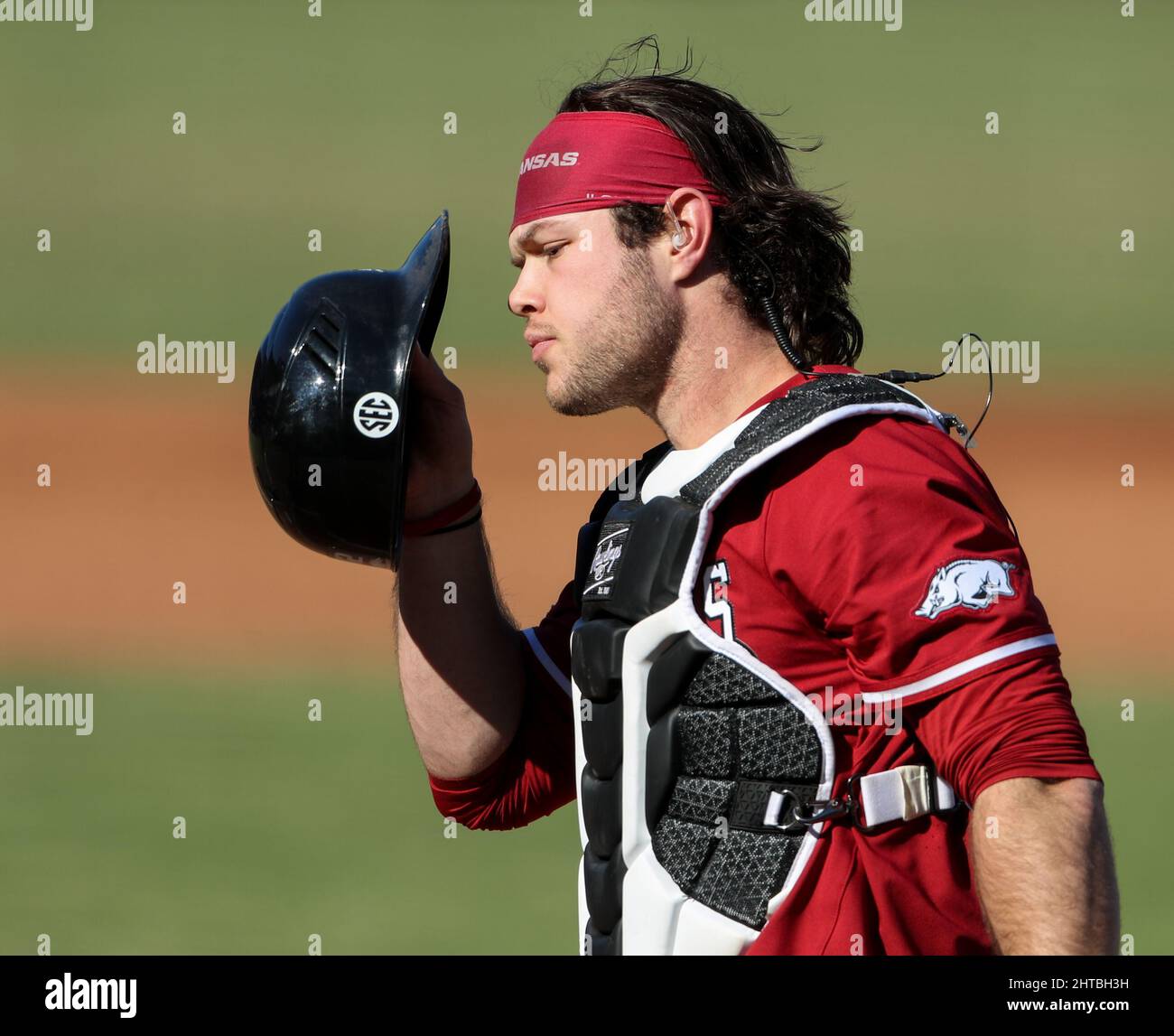 Arkansas razorbacks baseball hi-res stock photography and images - Alamy