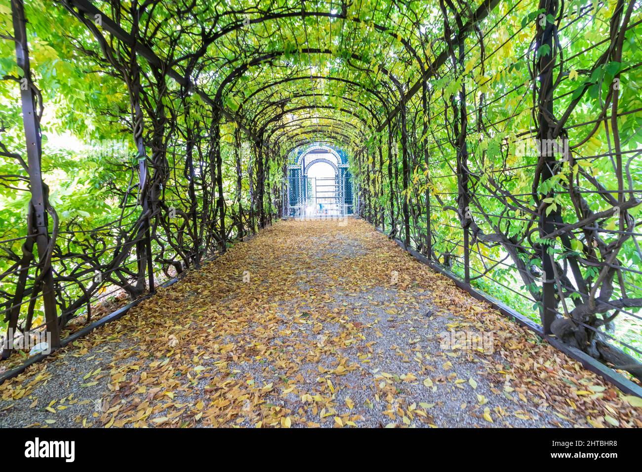 Fall leaves and spectacular trees in autumn, in the royal gardens at ...