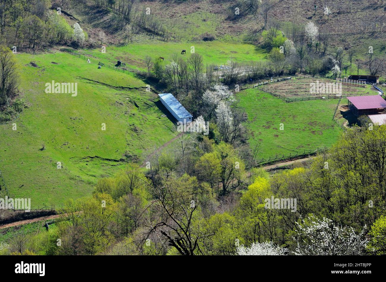 Mesmerizing view of green land with small houses on the hills amid ...