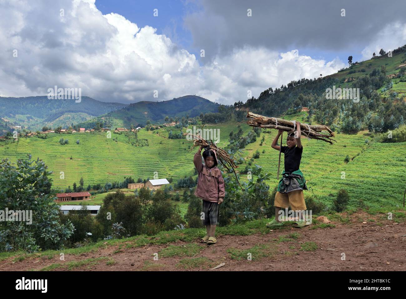 Northwest plank road hi-res stock photography and images - Alamy
