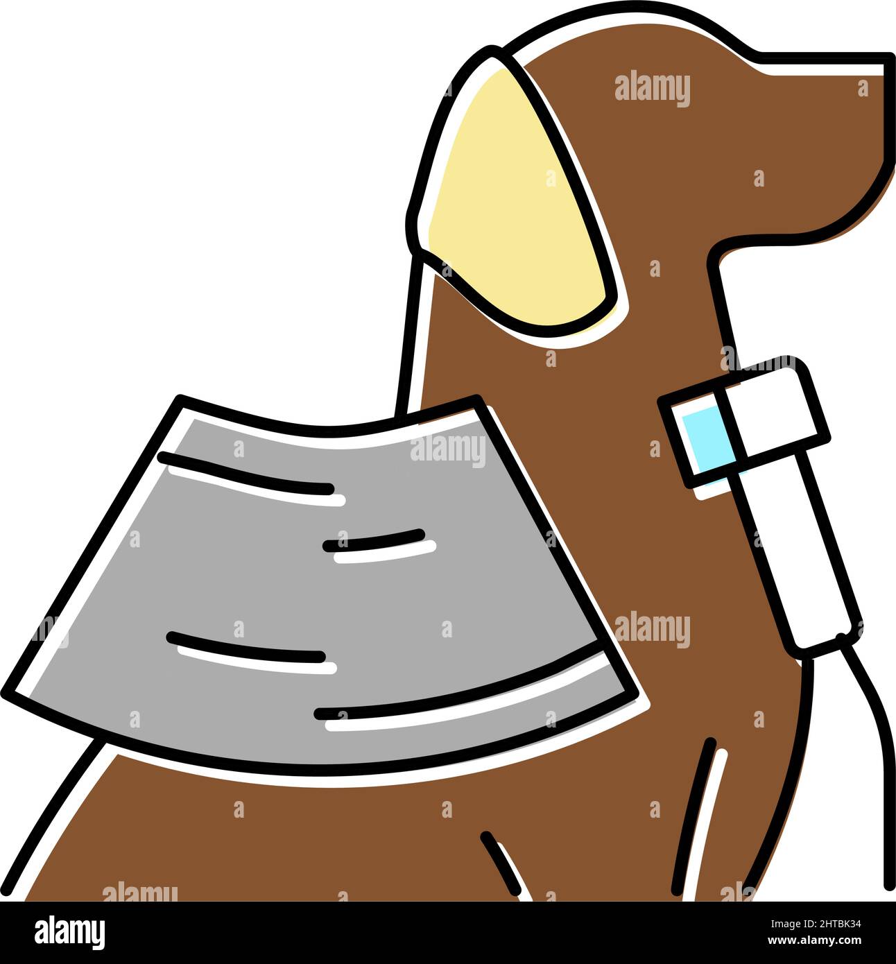 ultrasound examination domestic pet color icon vector illustration ...